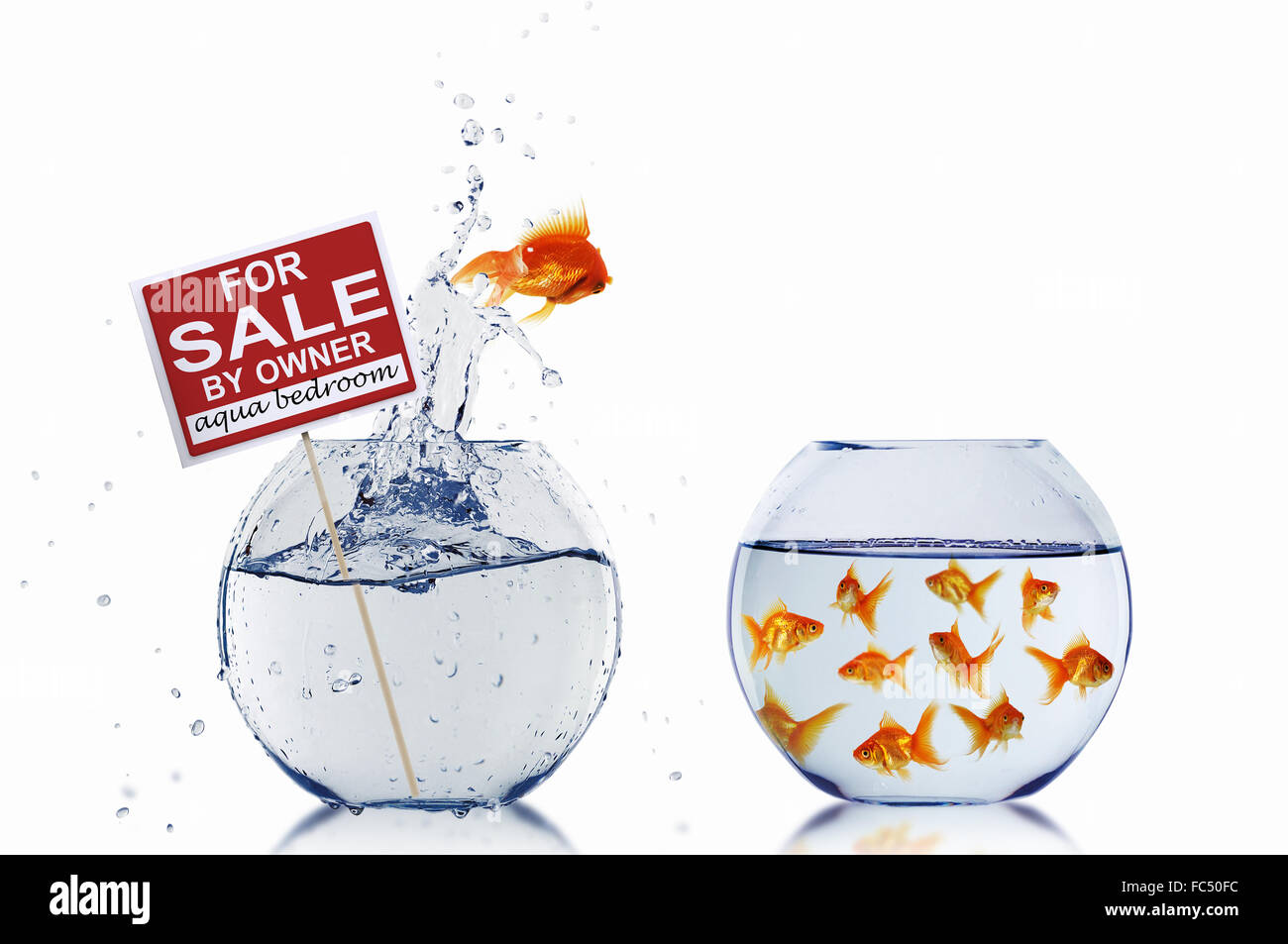 gold fish in a fishbowl with sign of sale Stock Photo - Alamy