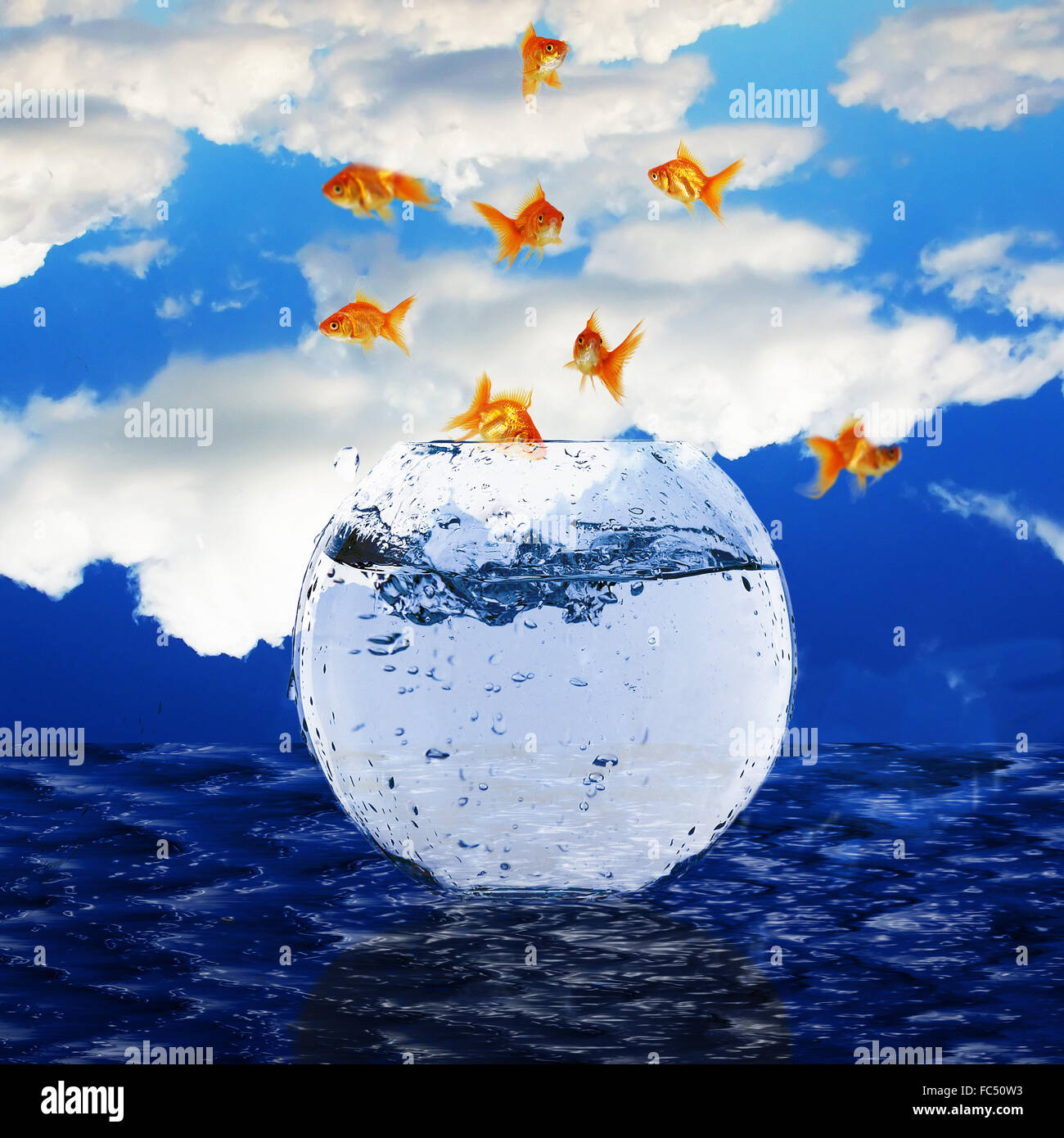 many gold fish together as symbol of teamwork Stock Photo - Alamy