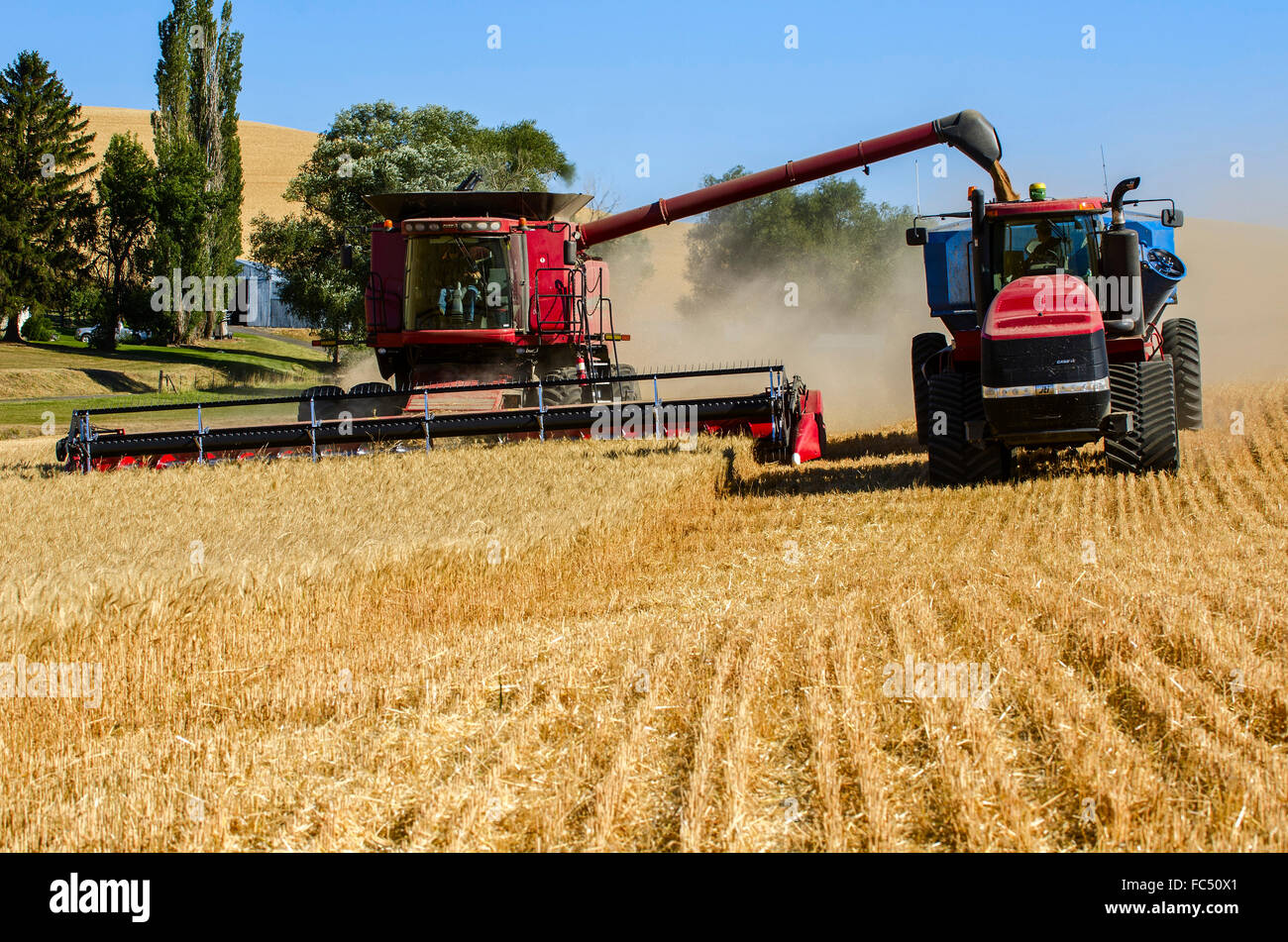 A combine offloads wheat to a grain cart during harvest in the Palouse ...
