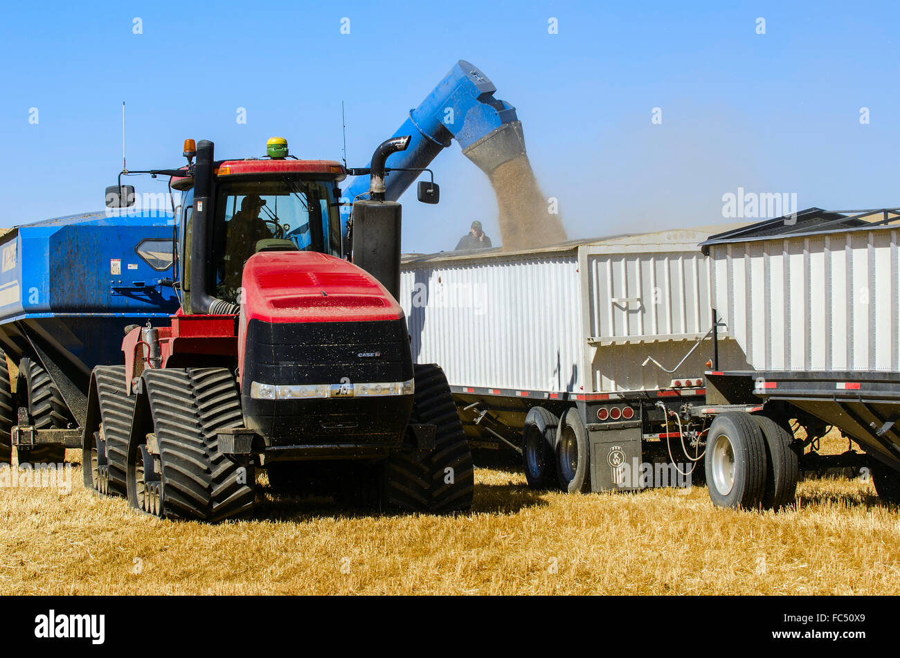 A tractor pulled grain cart offloading grain to a grain truck during ...