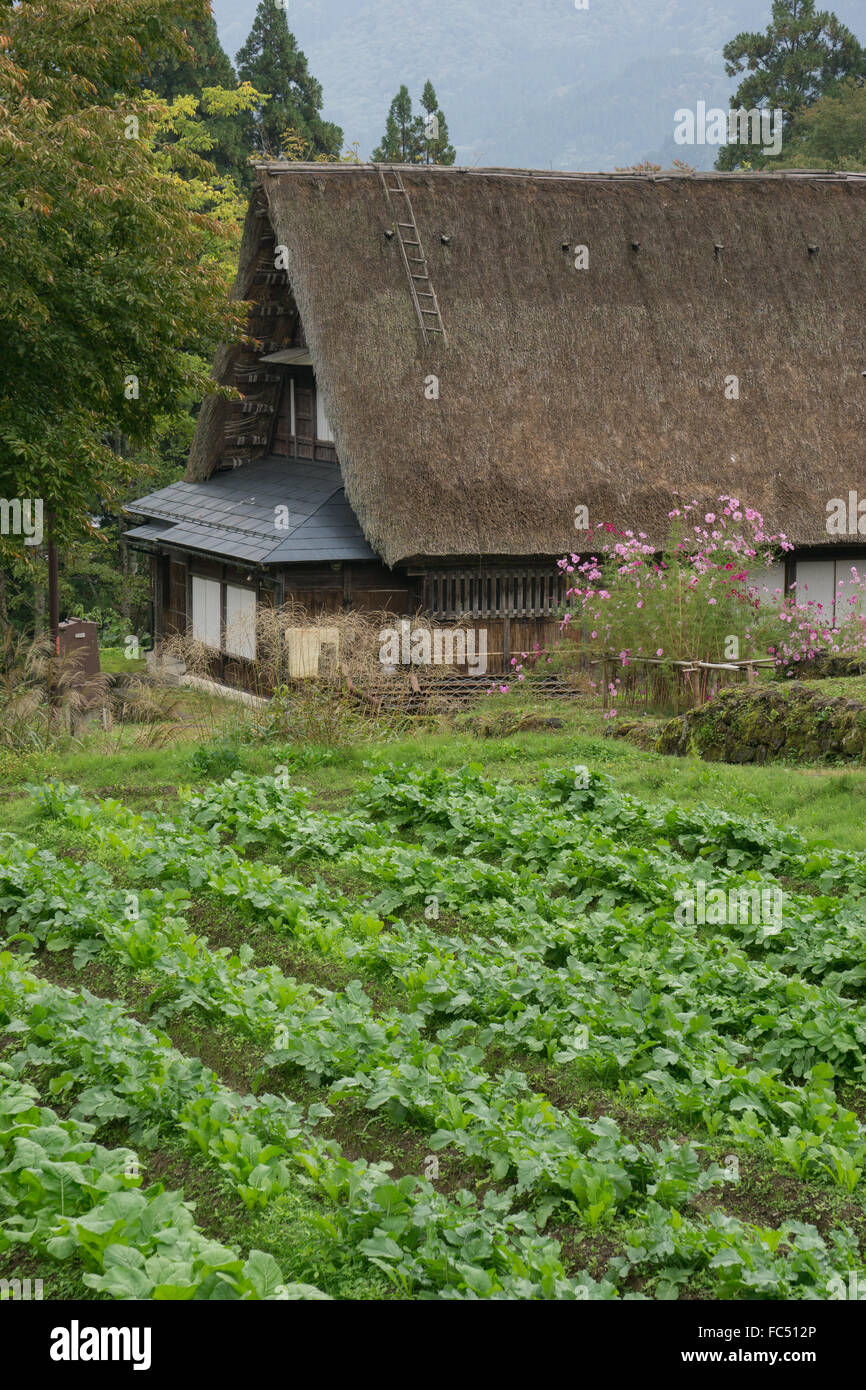 Shirakawago Japan thatched roof buildings World Heritage Site Stock ...