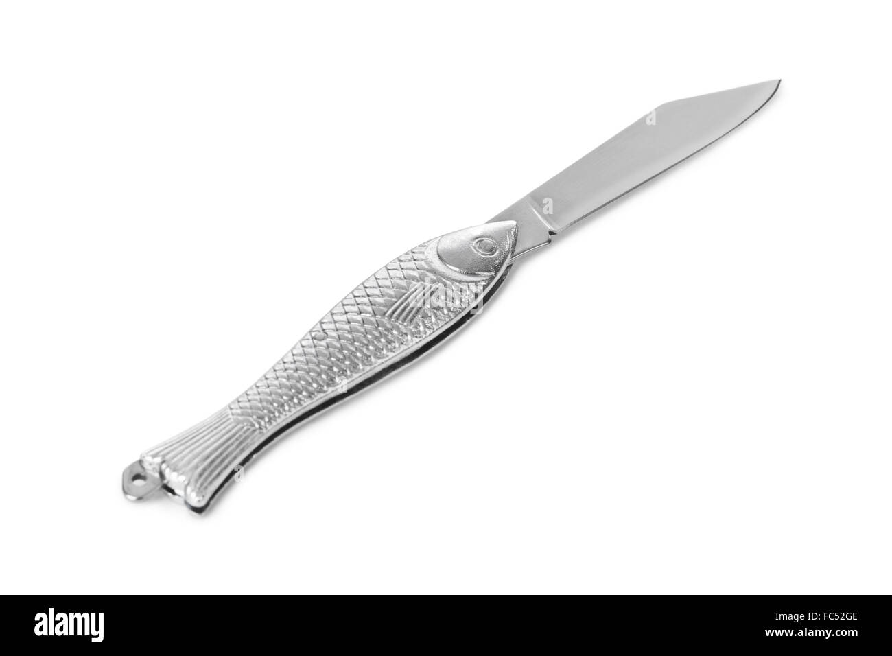 Compact fish hi-res stock photography and images - Alamy