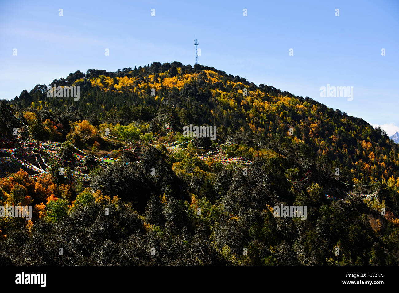 Feilal Temple Mingyong Glacier,Meili Snow Mountain Range,Holy Kawagebo ...