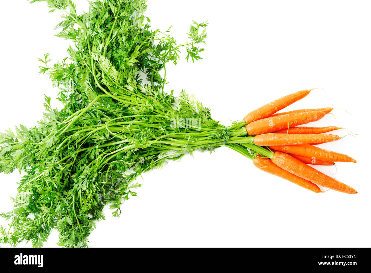 Large carrot isolated hi-res stock photography and images - Alamy