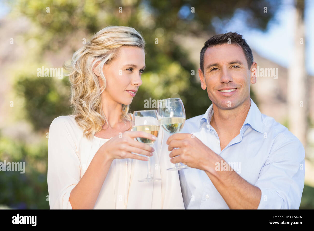 Portrait of smiling standing couple drinking wine and toasting Stock ...