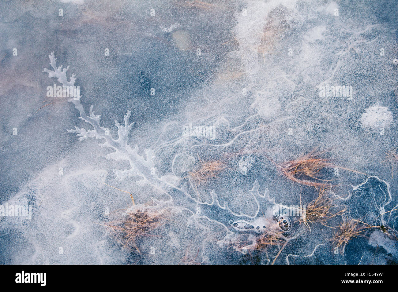 Flowing patterns in freezing water of an Alaskan river Stock Photo - Alamy