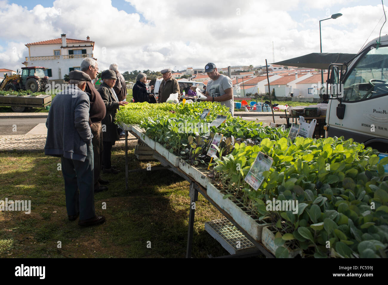 Selling plants hi-res stock photography and images - Alamy