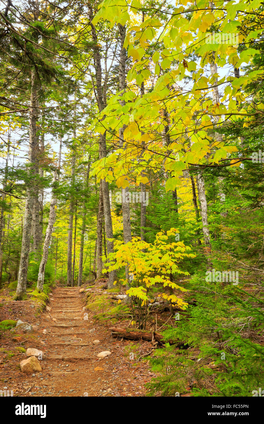 Asticou and Jordan Pond Trail, Acadia National Park, Maine, USA Stock ...