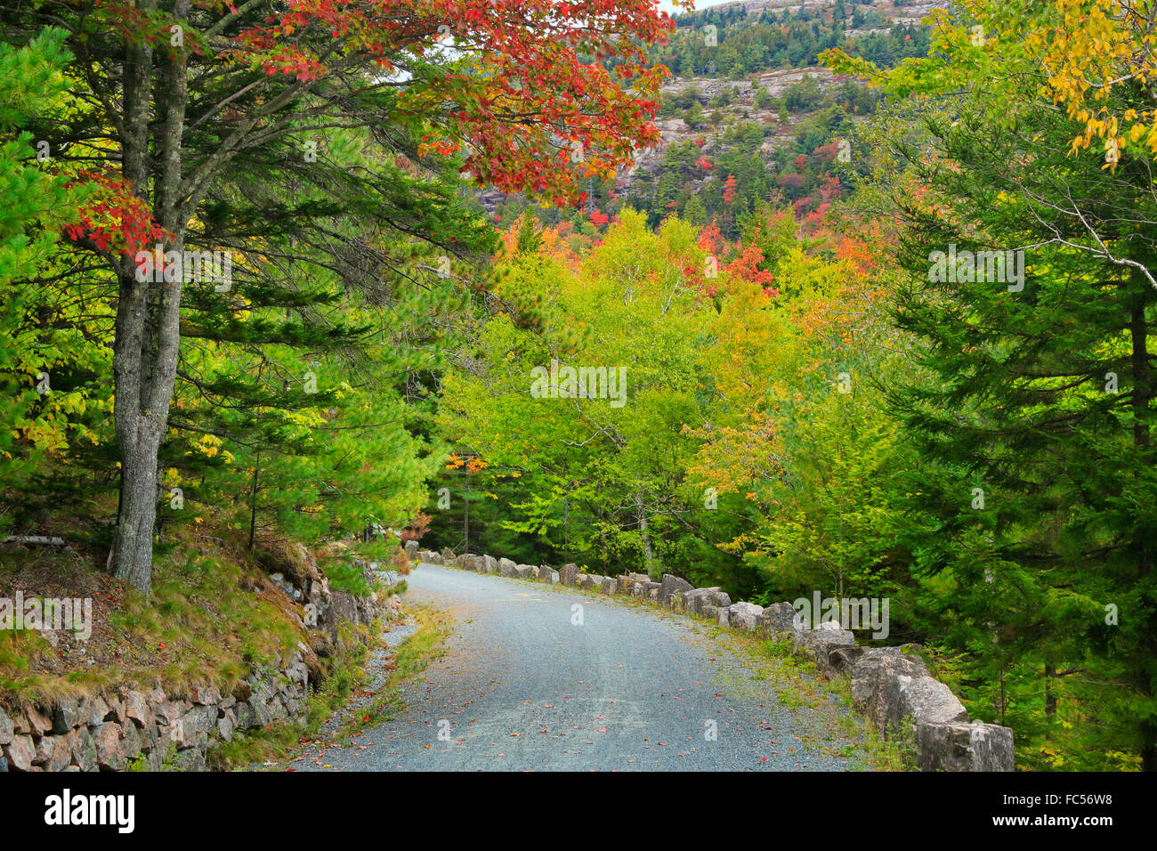 Amphitheatre Loop Carriage Road, Acadia National Park, Maine, USA Stock ...