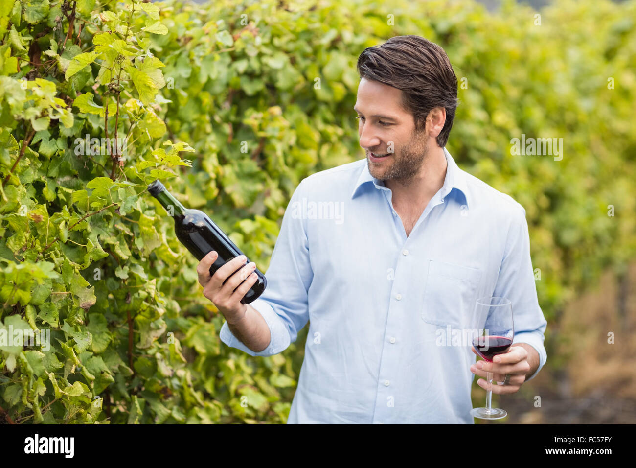 Winemaker looking red wine hi-res stock photography and images - Alamy