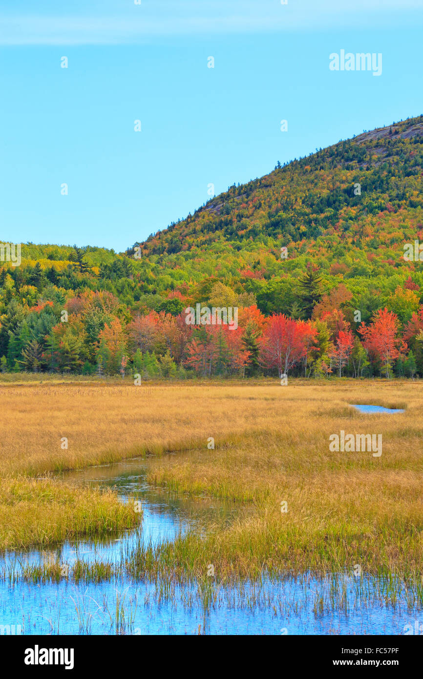Gilmore pond hi-res stock photography and images - Alamy