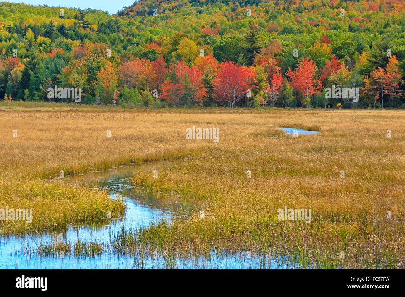 Gilmore Meadow, Carriage Road Near Post 11, Acadia National Park, Mount ...