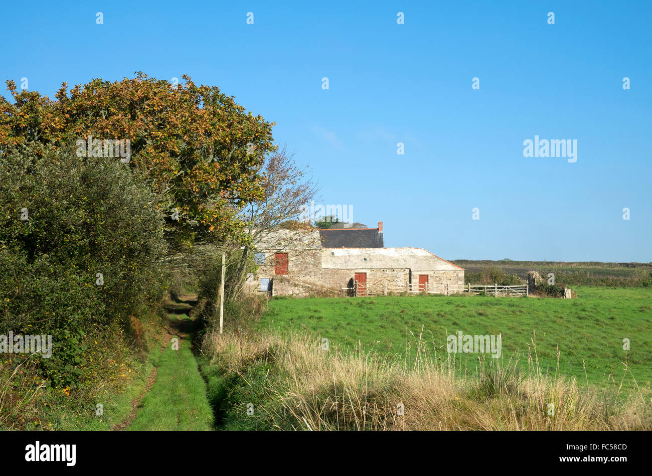 Cornish Farms High Resolution Stock Photography and Images - Alamy