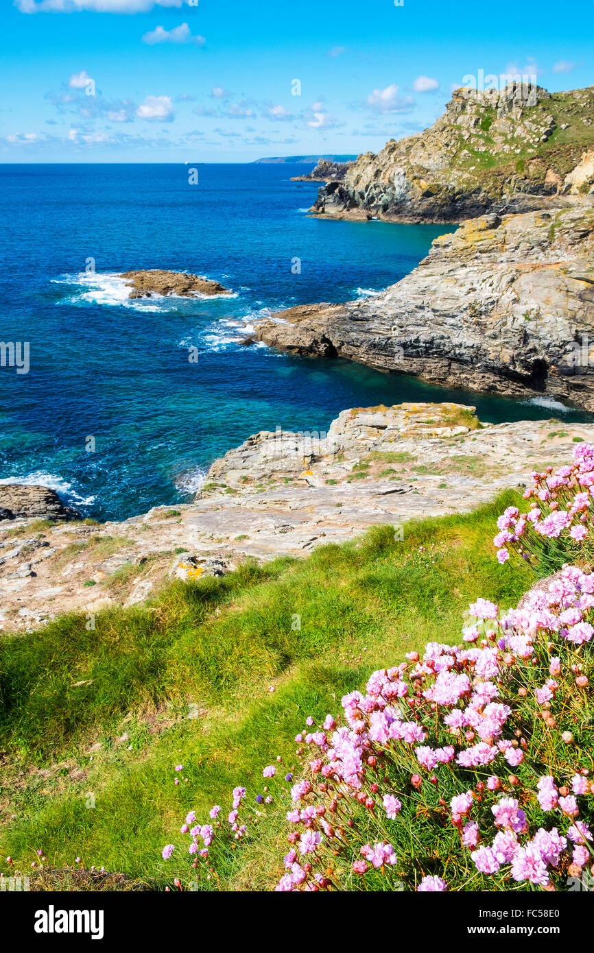 Piskies hi-res stock photography and images - Alamy