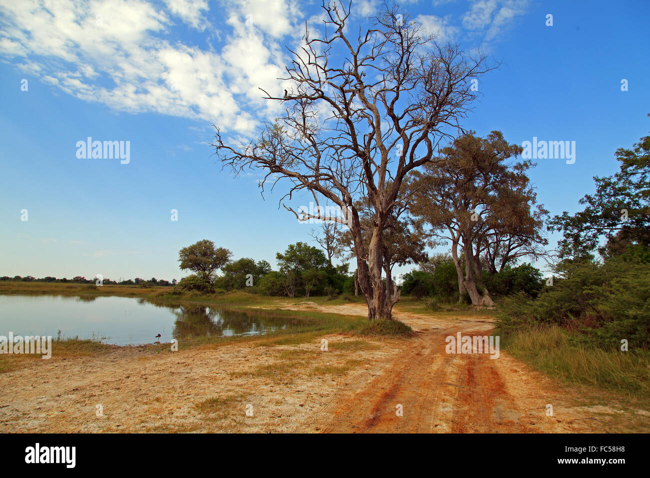 Moremi Game Reserve Stock Photo - Alamy