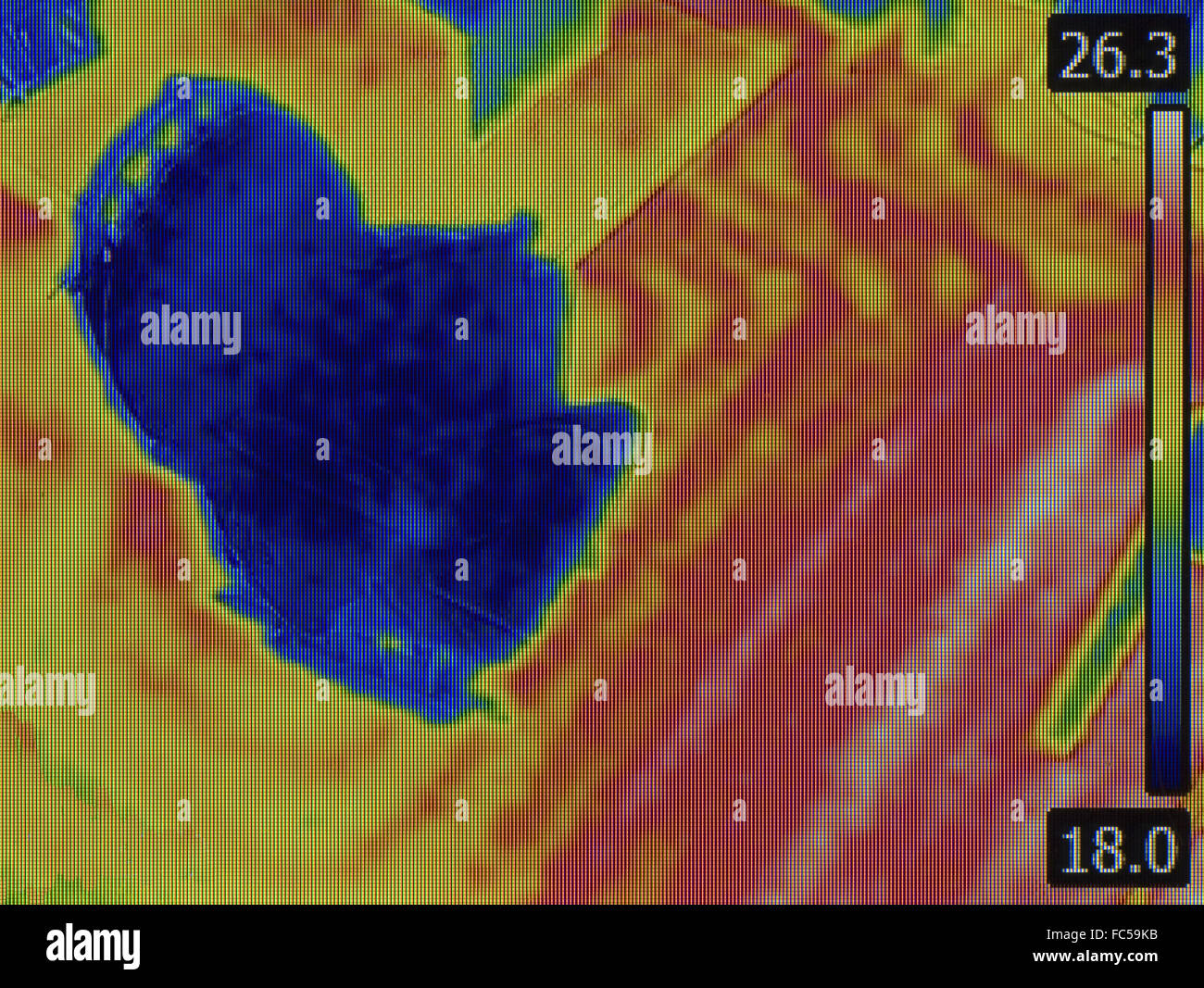 Plastic floor heating pipes hi-res stock photography and images - Alamy