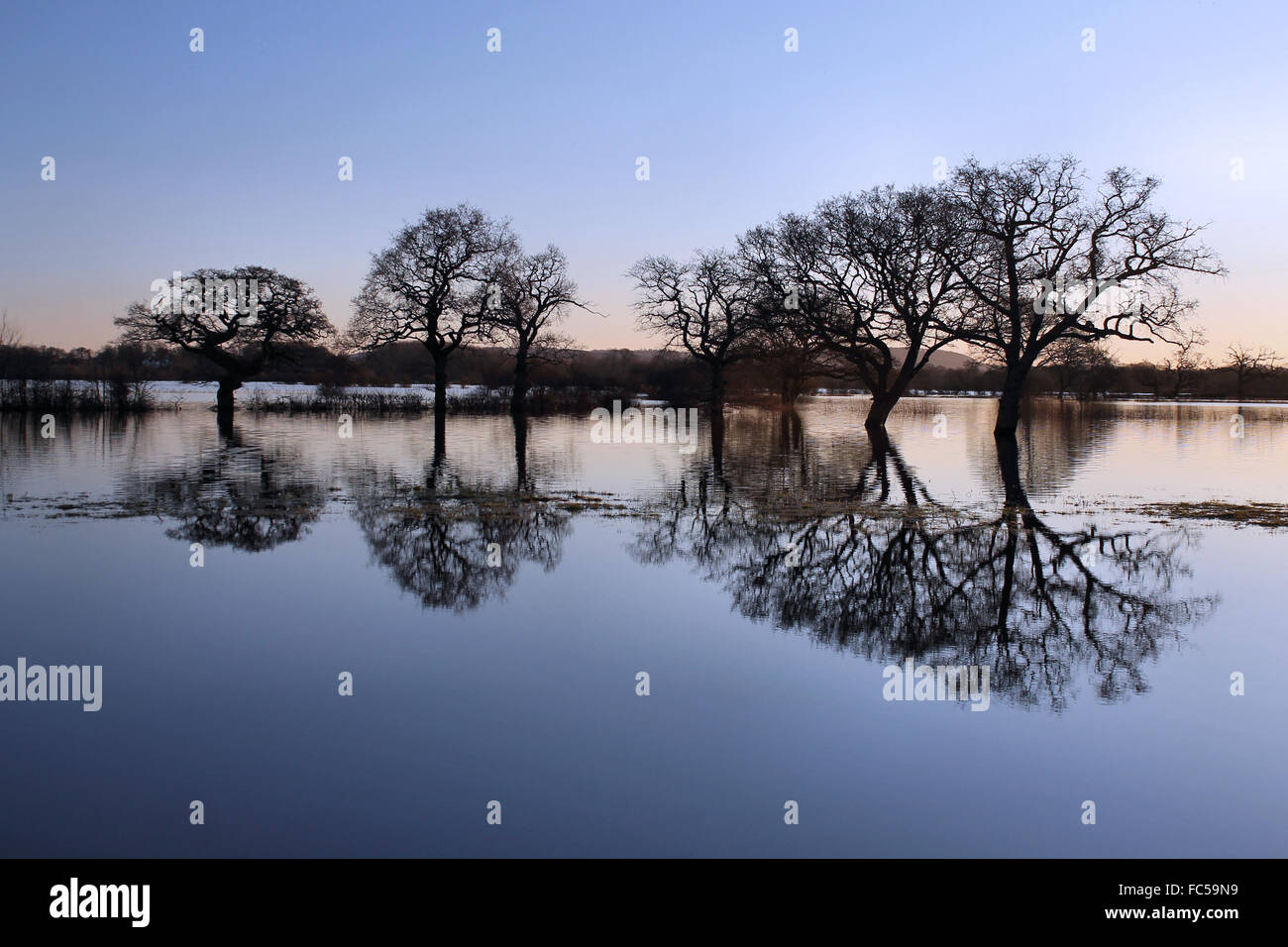 Tree reflections at sunrise in the flooded fields around Holt near ...