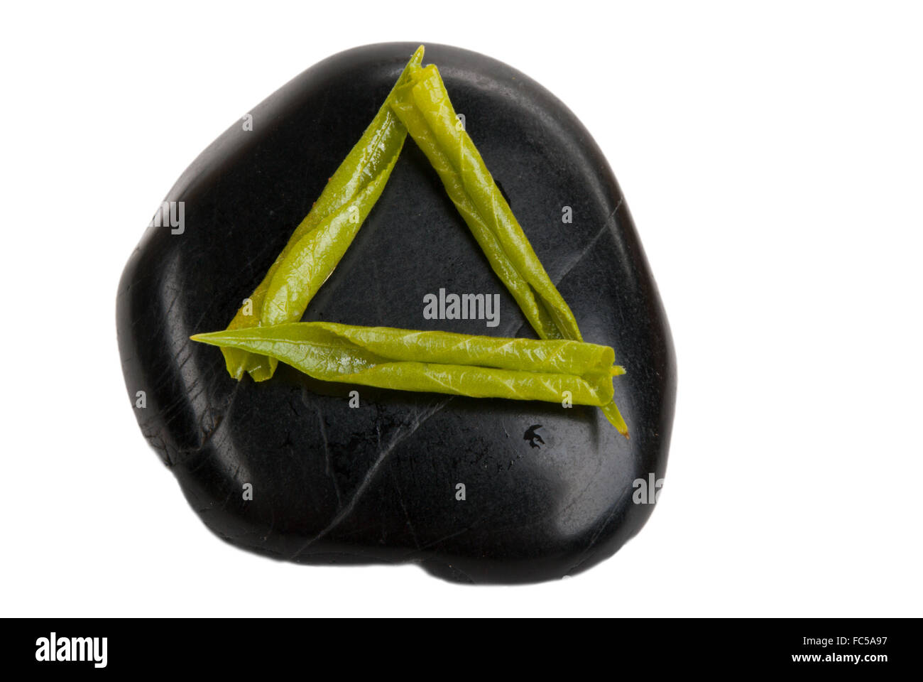 Leaves on tree Cut Out Stock Images & Pictures - Alamy