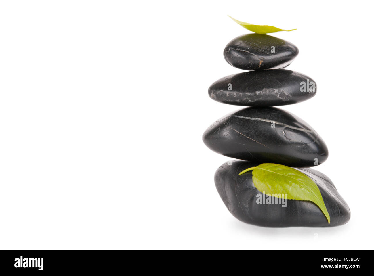 Tree few leaves Cut Out Stock Images & Pictures - Alamy