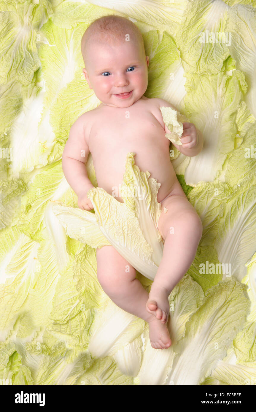 small child is among the lettuce leaves Stock Photo - Alamy