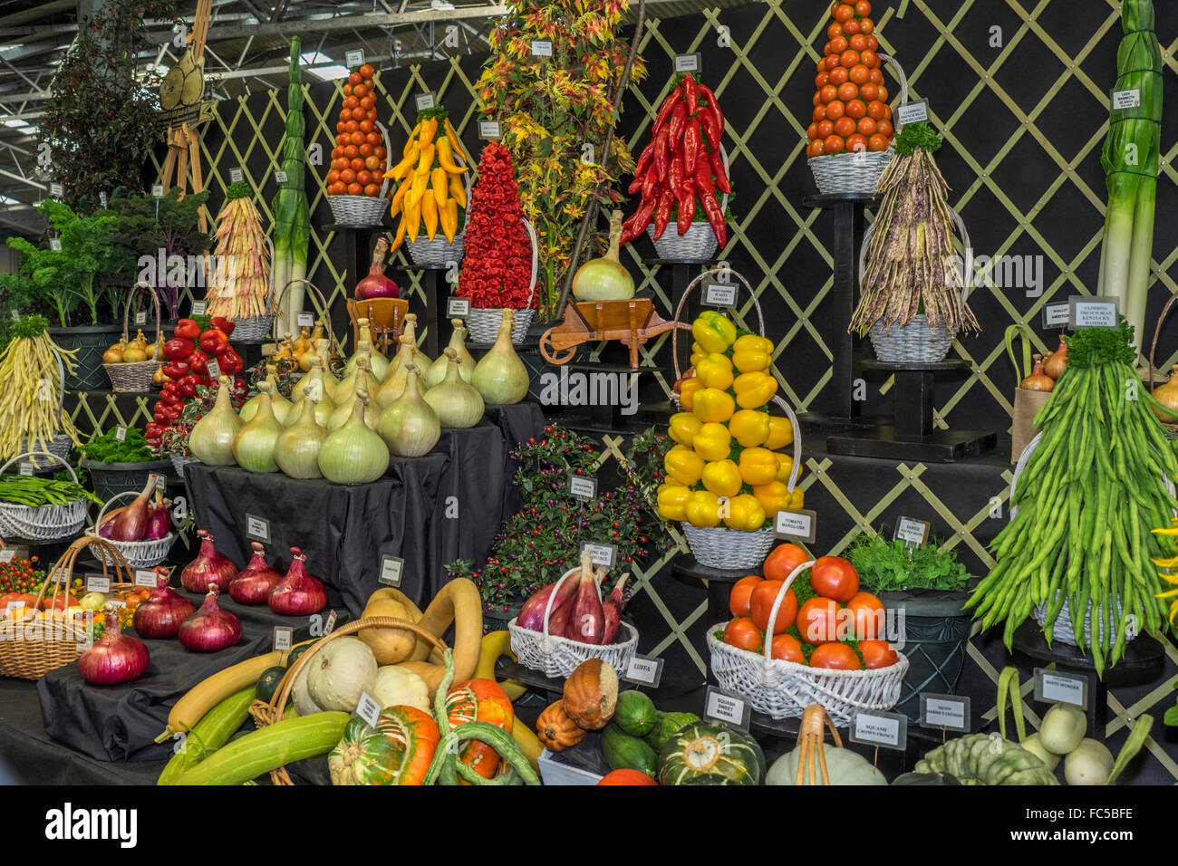 Autumn vegetable display Stock Photo - Alamy