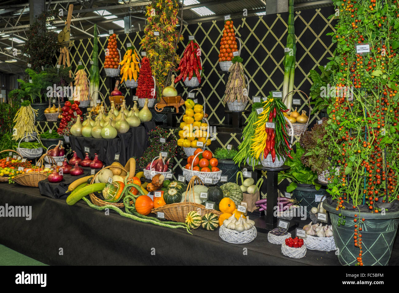 Autumn vegetable display Stock Photo - Alamy