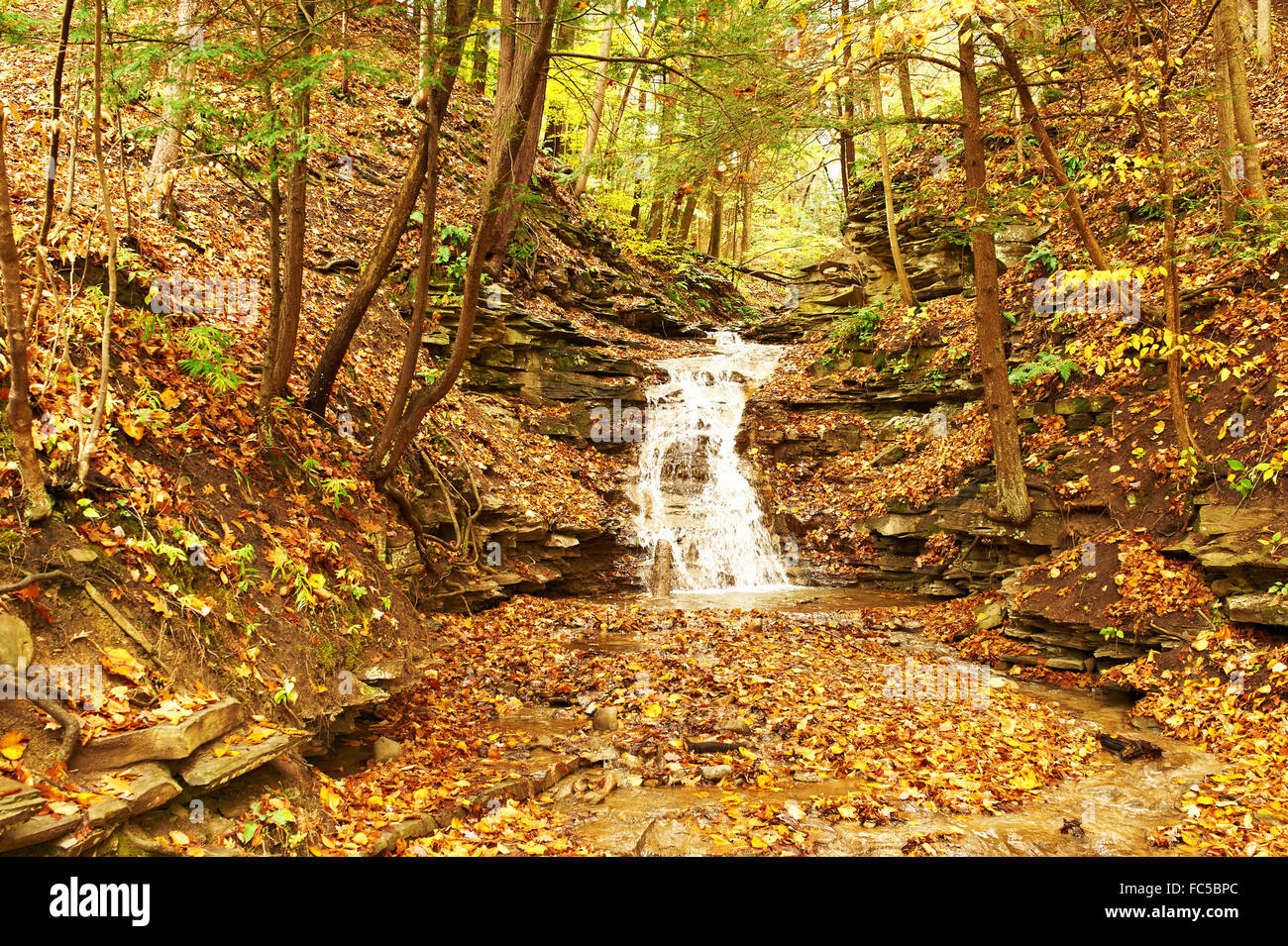 Autumn scene of waterfall Stock Photo - Alamy
