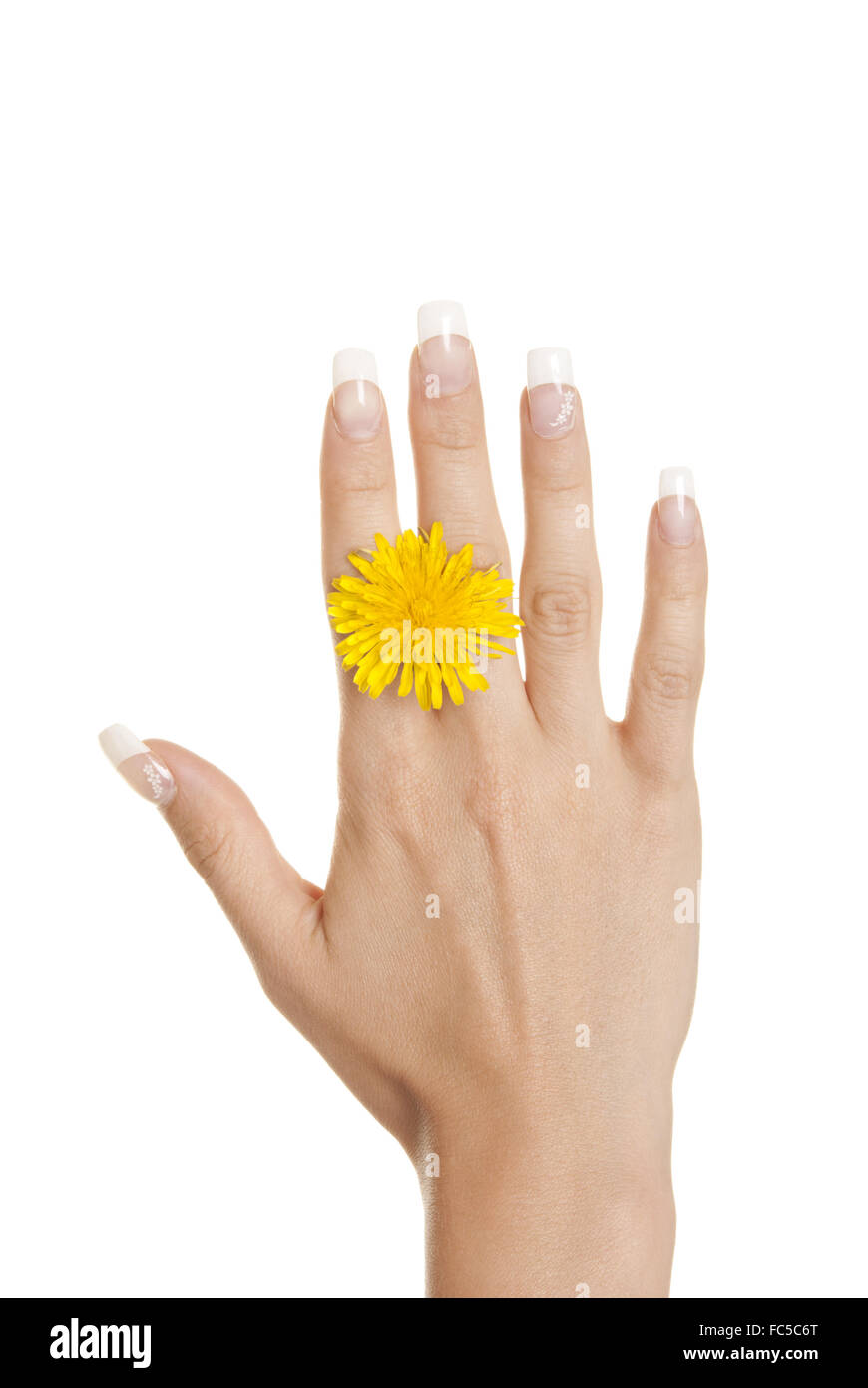 Yellow flower between fingers of female hand Stock Photo - Alamy