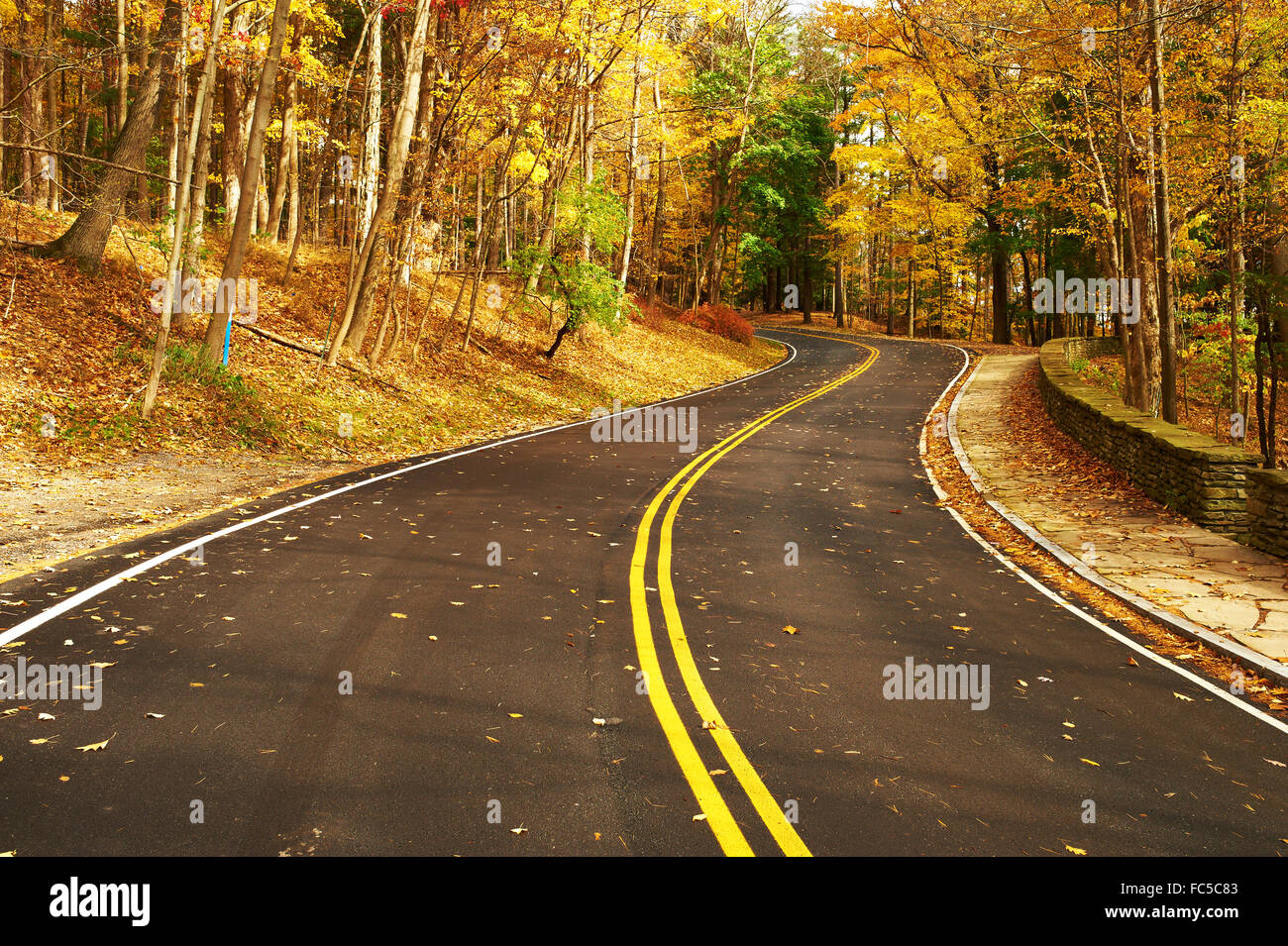 Autumn scene with road in forest Stock Photo - Alamy