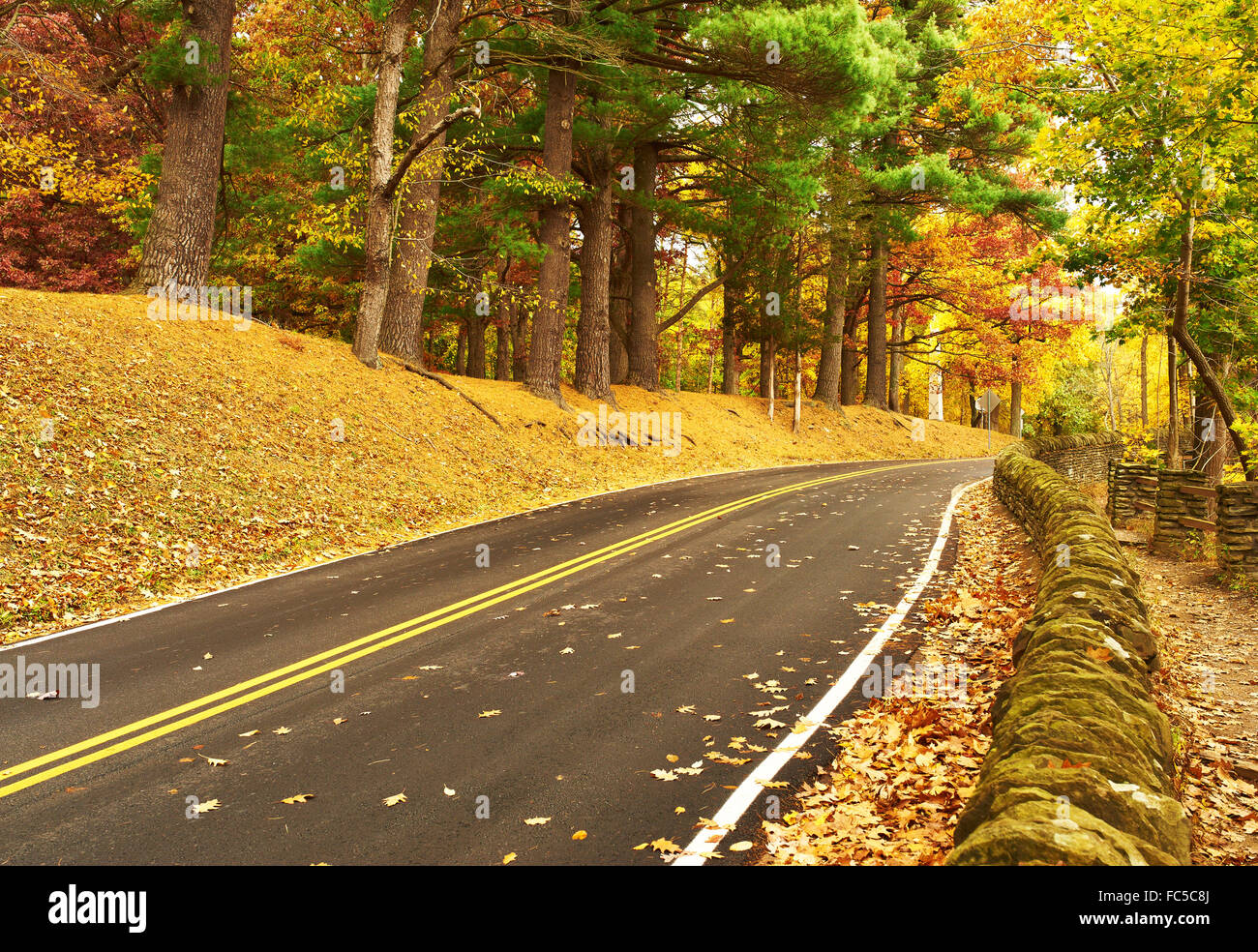 Autumn scene with road in forest Stock Photo - Alamy
