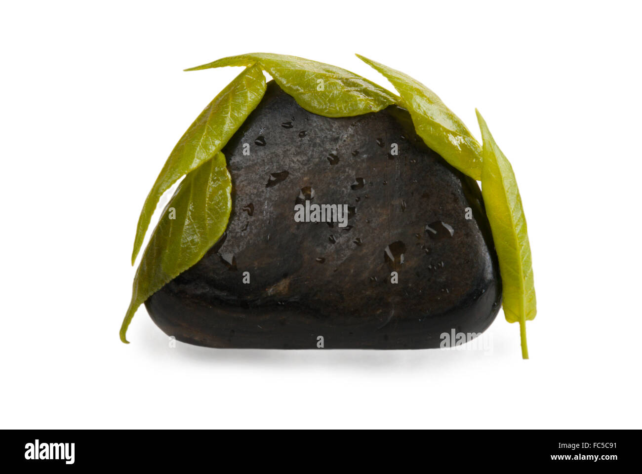 Stone in water on Cut Out Stock Images & Pictures - Alamy