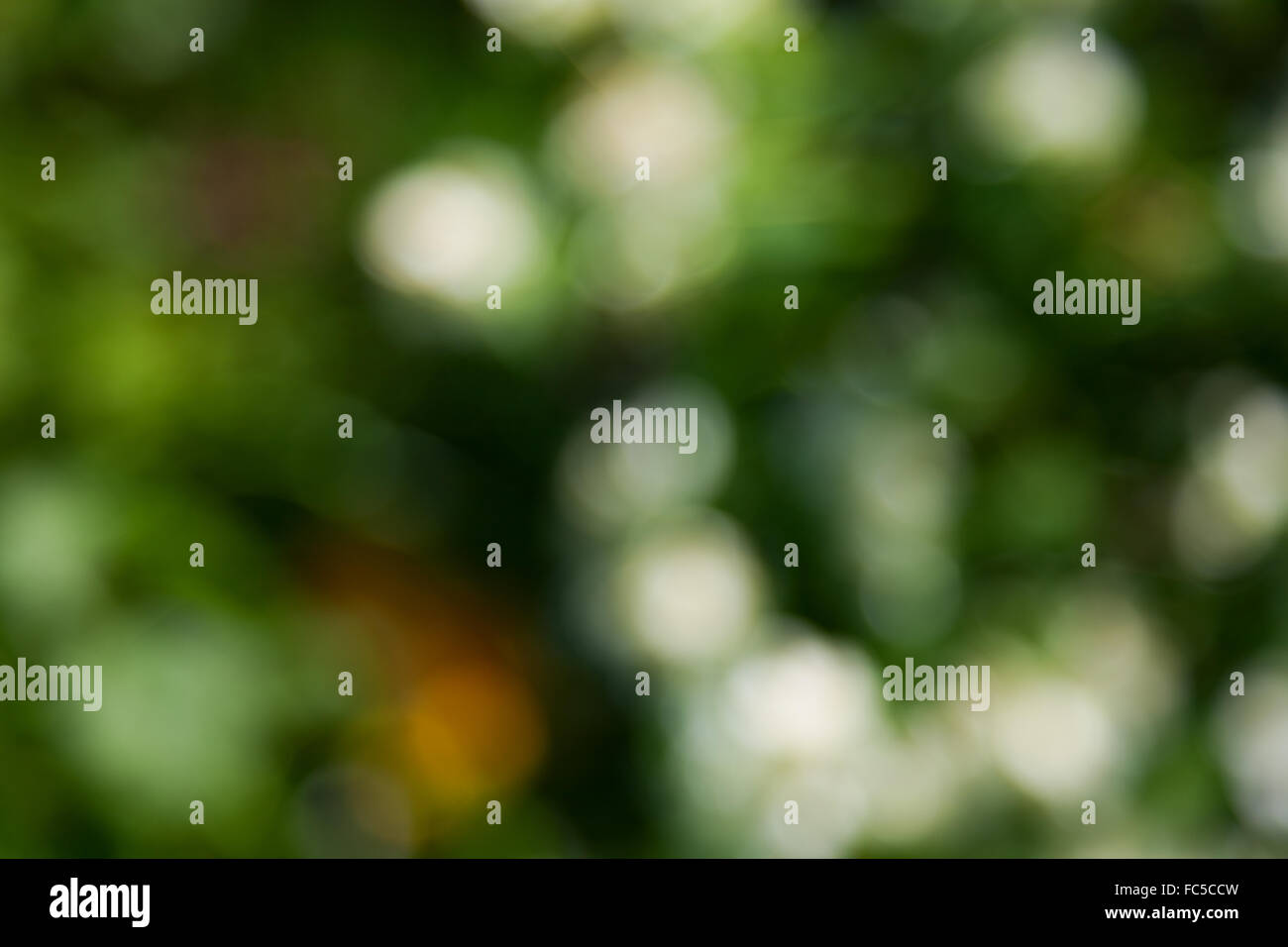 Boke background hi-res stock photography and images - Alamy