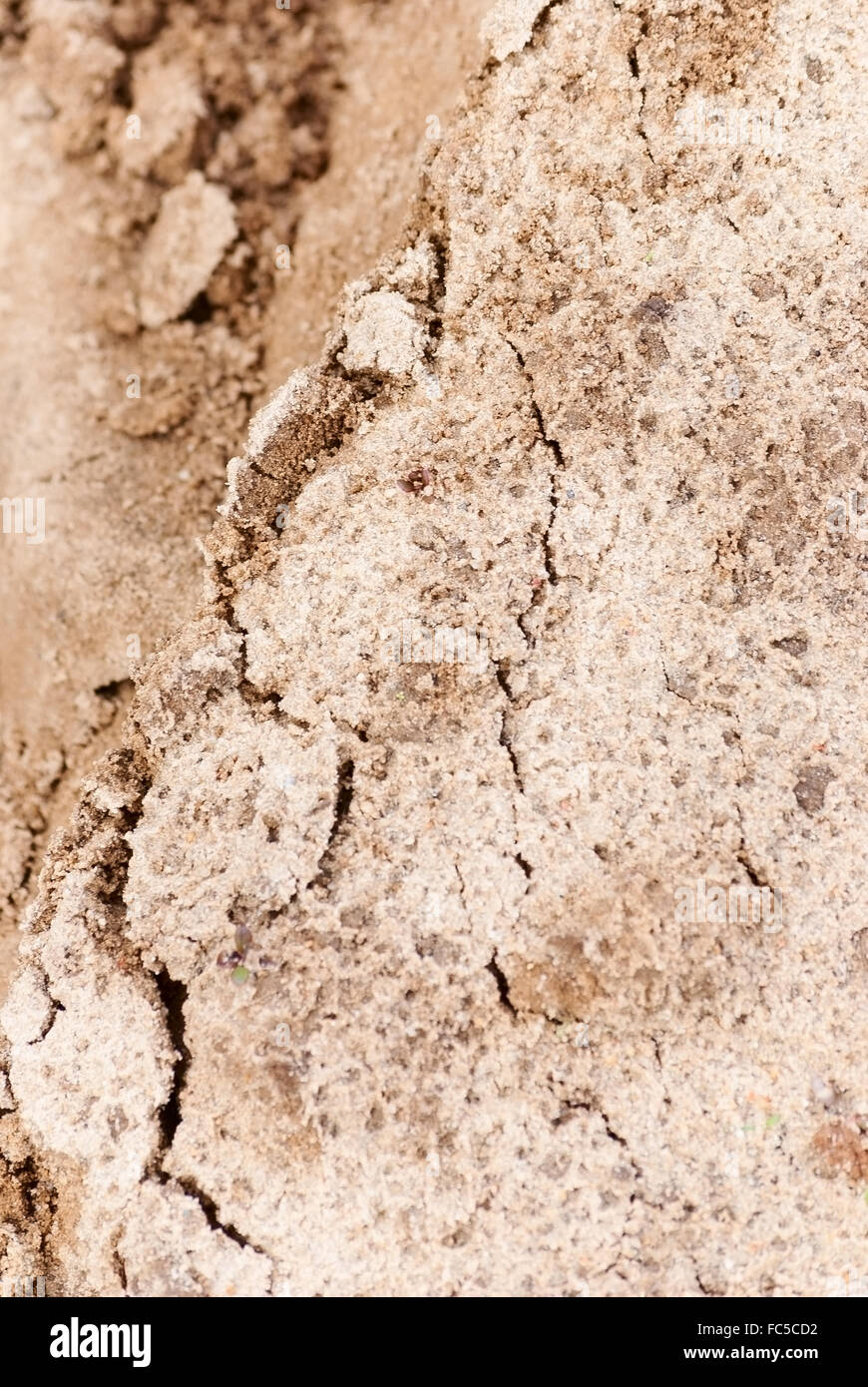 cracked texture of sand Stock Photo - Alamy