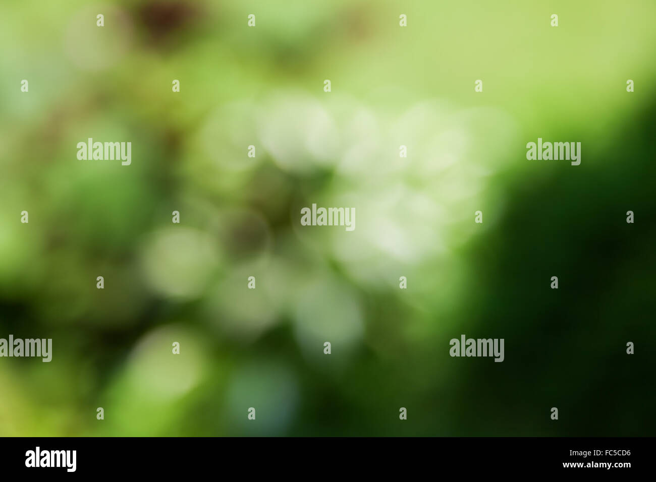 Boke abstract texture hi-res stock photography and images - Alamy