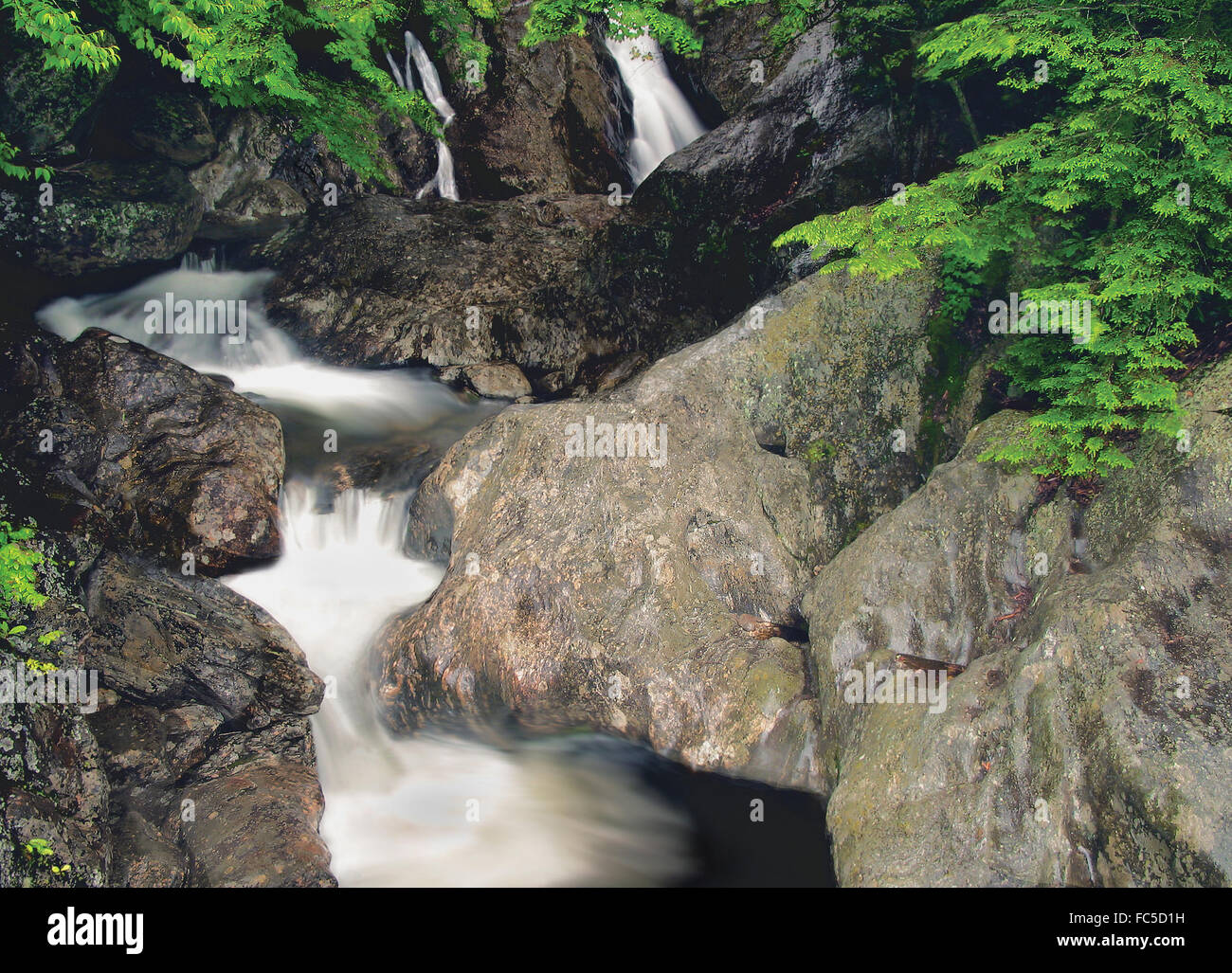 A roaring mountain stream in Pisgah National Forest near the Blue Ridge ...