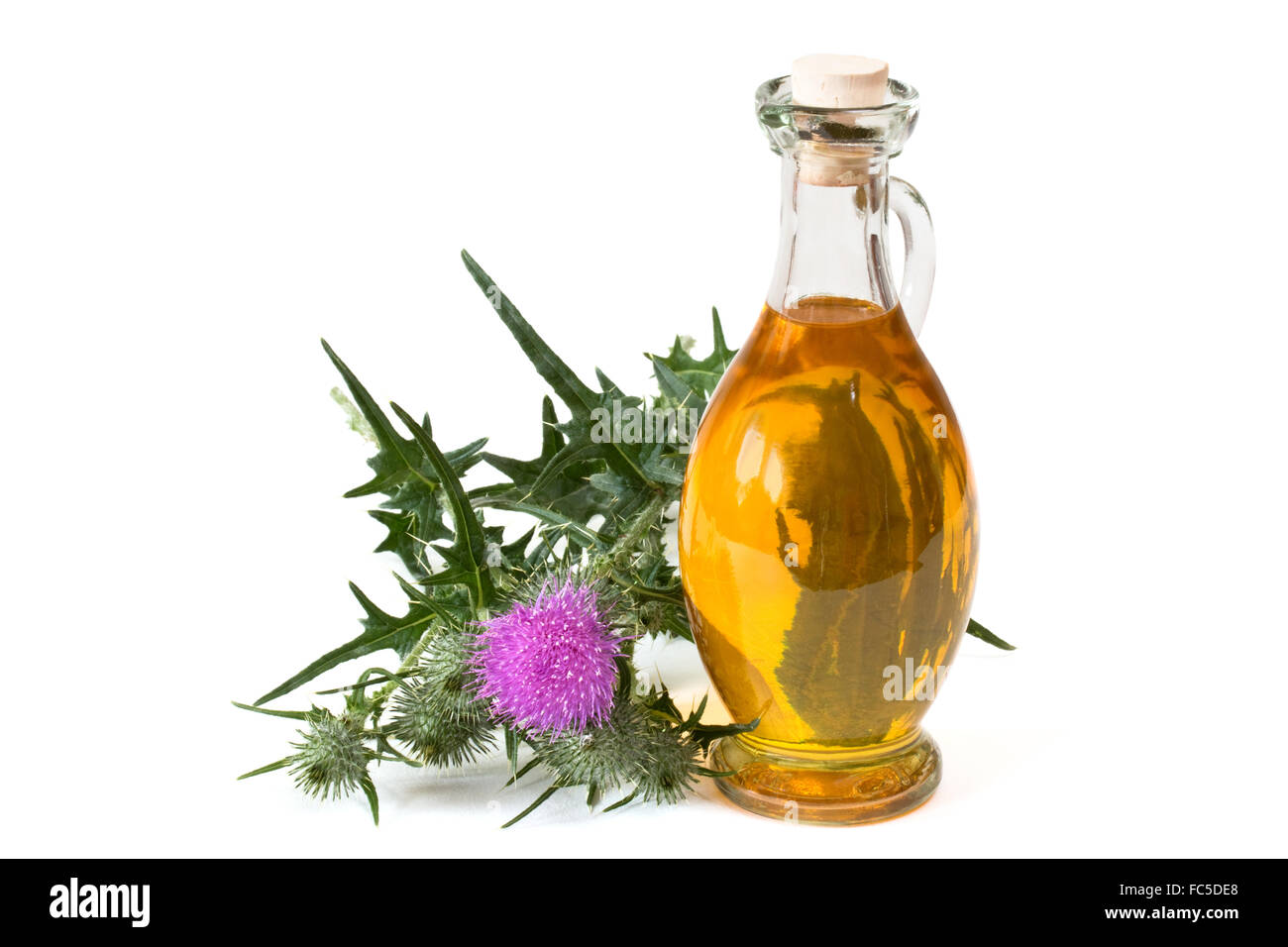 Milk thistle oil Stock Photo - Alamy