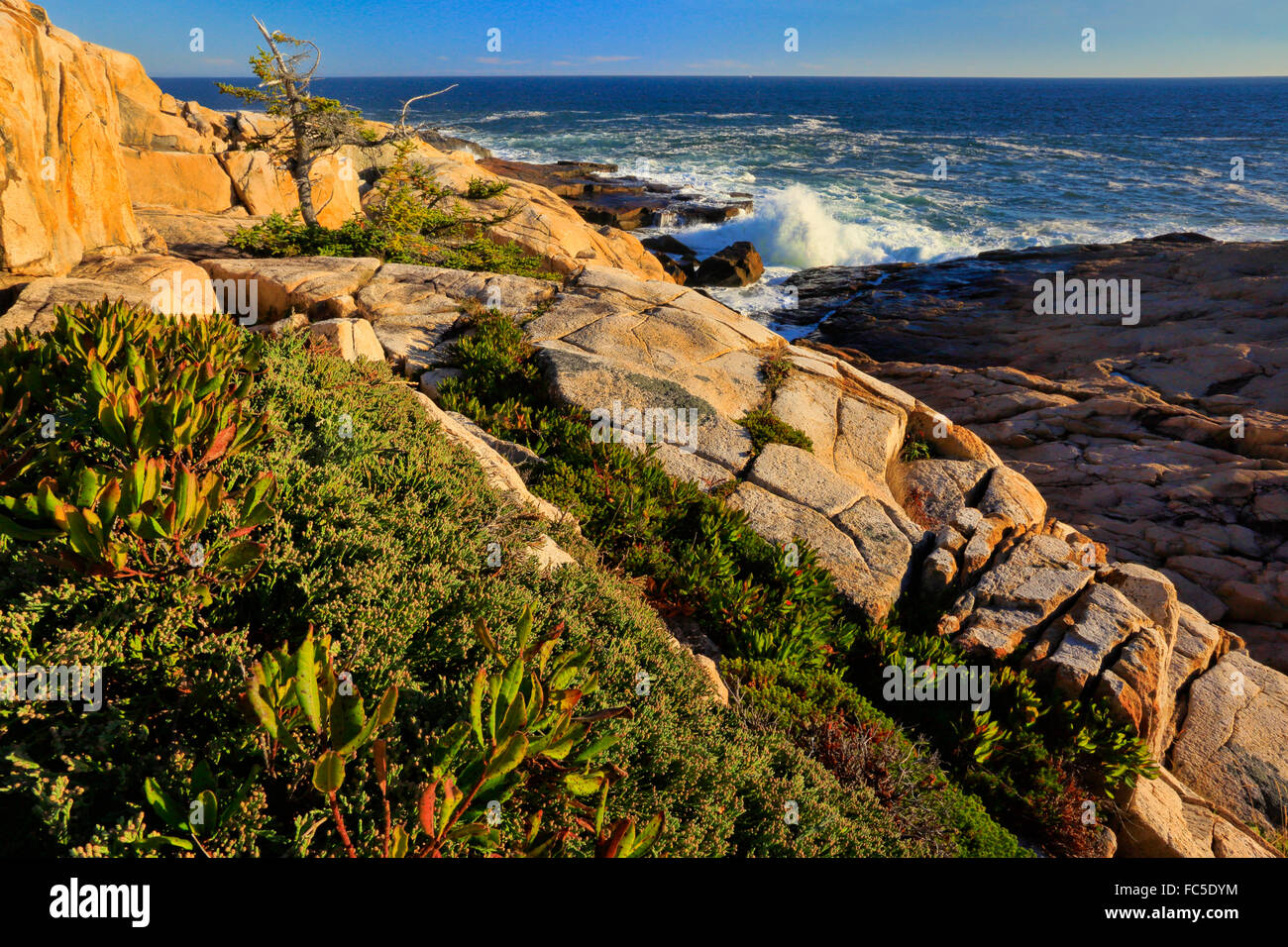 Schoodic Point, Schoodic Peninsula, Acadia National Park, Maine, USA ...