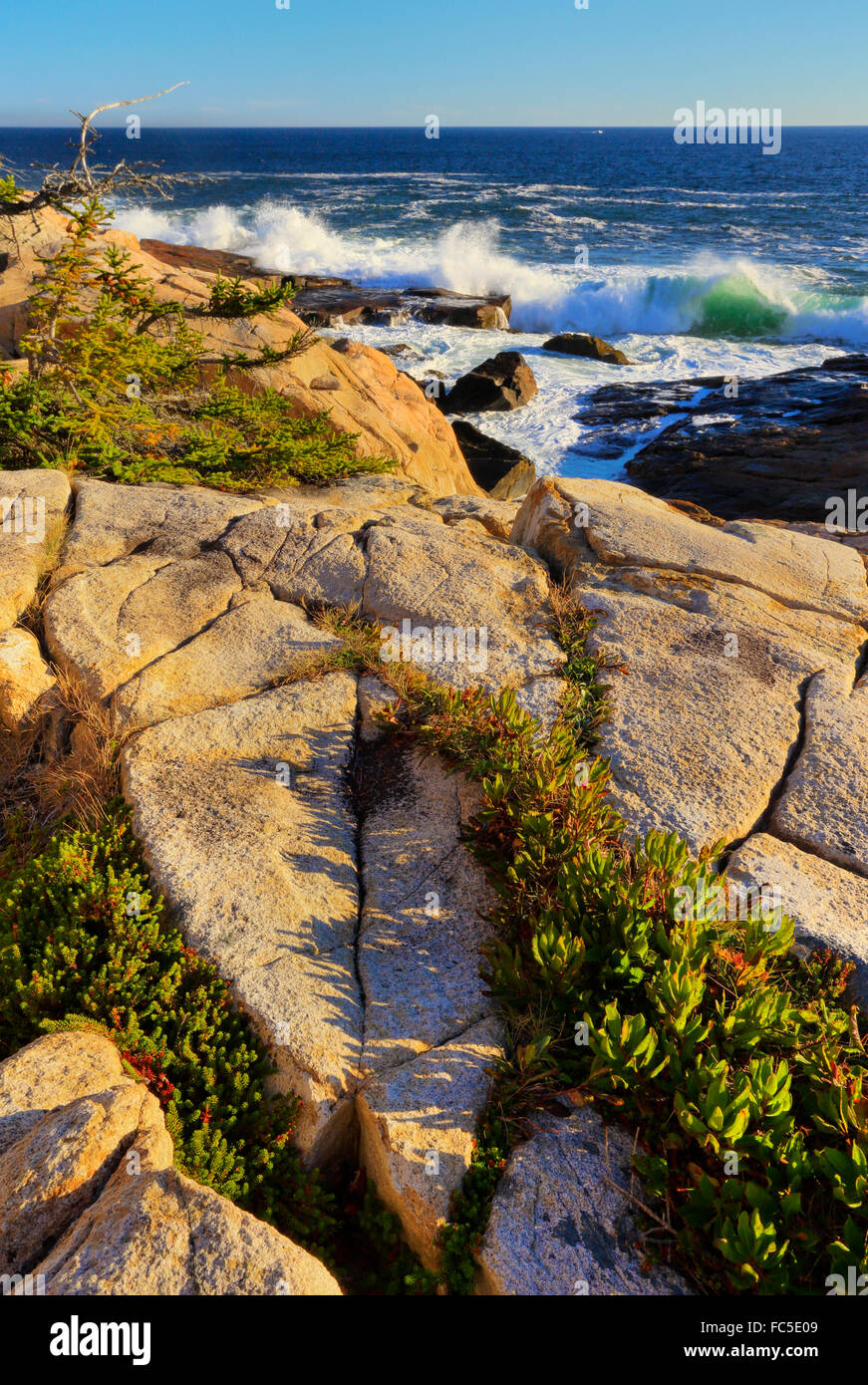 Schoodic Point, Schoodic Peninsula, Acadia National Park, Maine, USA ...