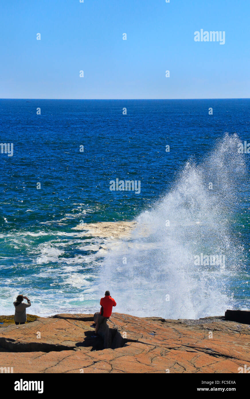 Schoodic Point, Schoodic Peninsula, Acadia National Park, Maine, USA ...