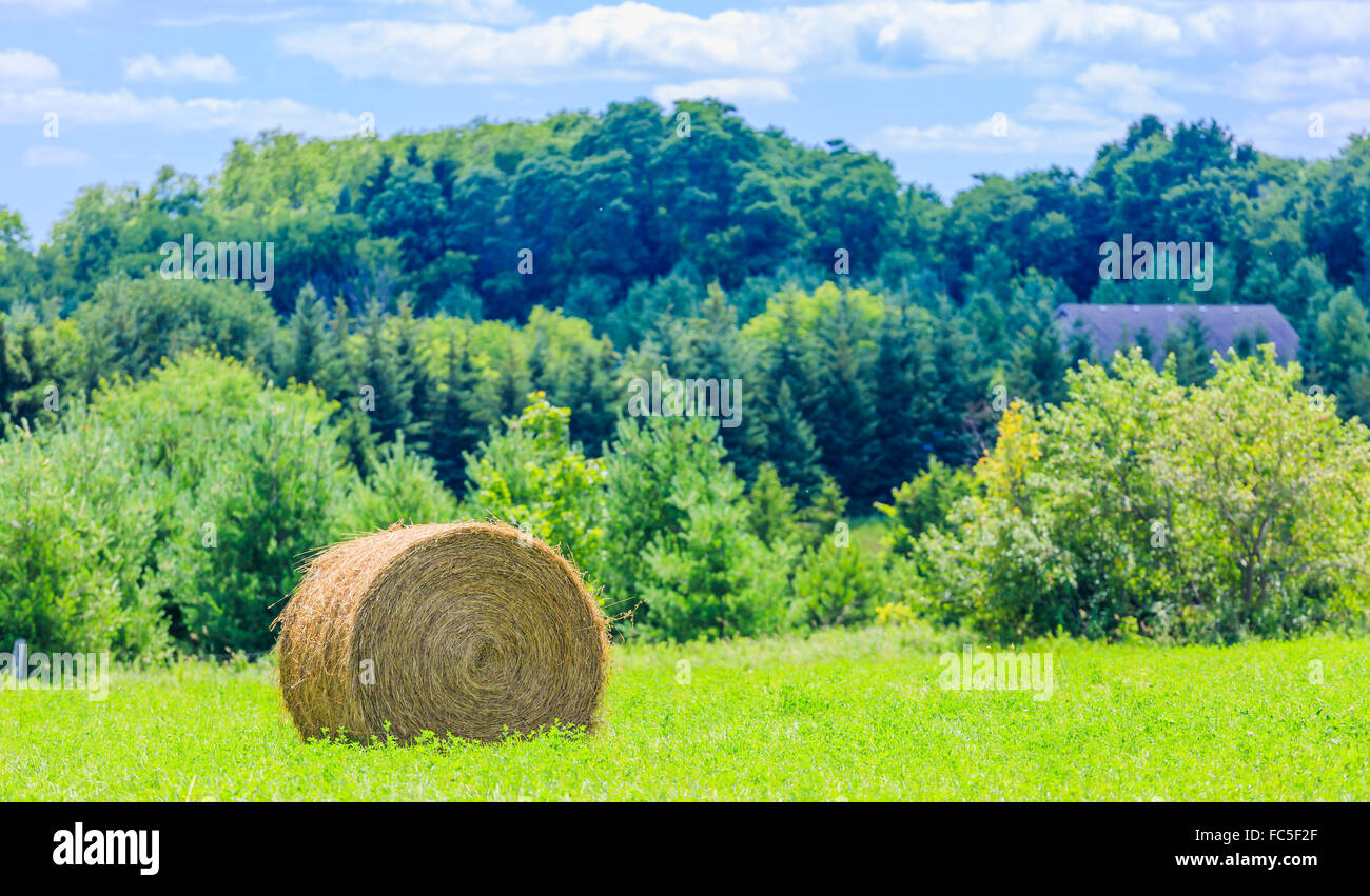 Hay bales green background hi-res stock photography and images - Alamy