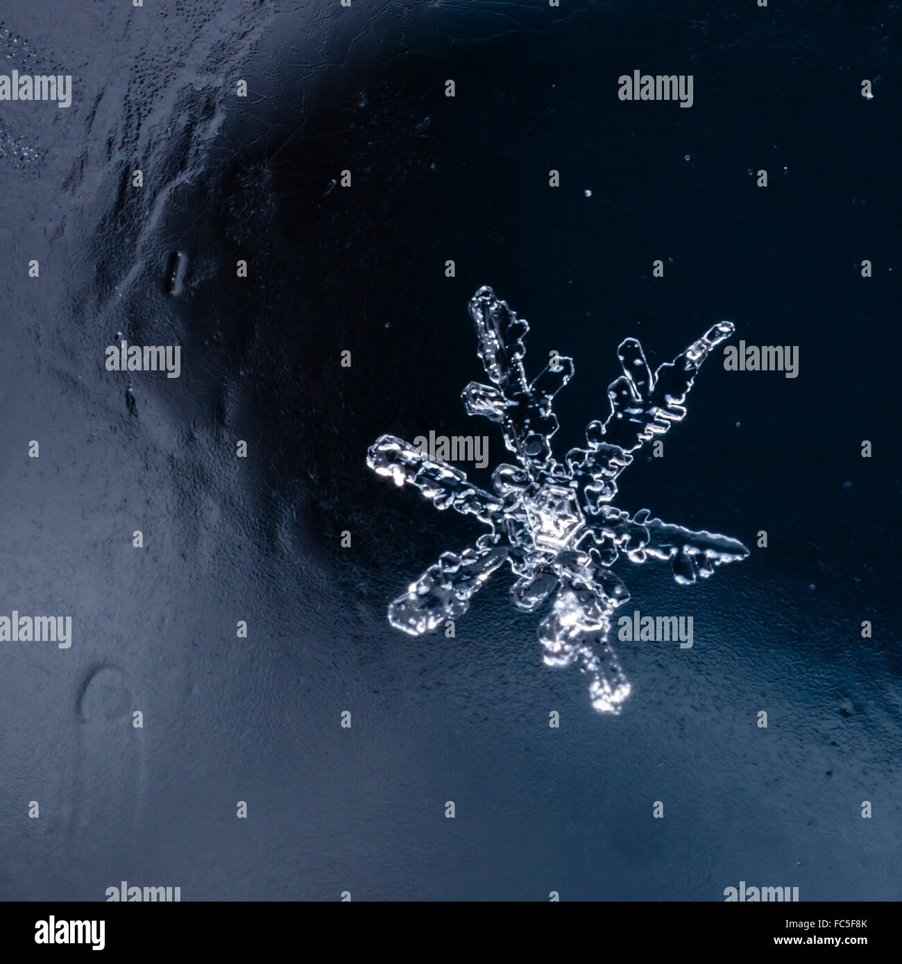 Real snowflake close up hi-res stock photography and images - Alamy