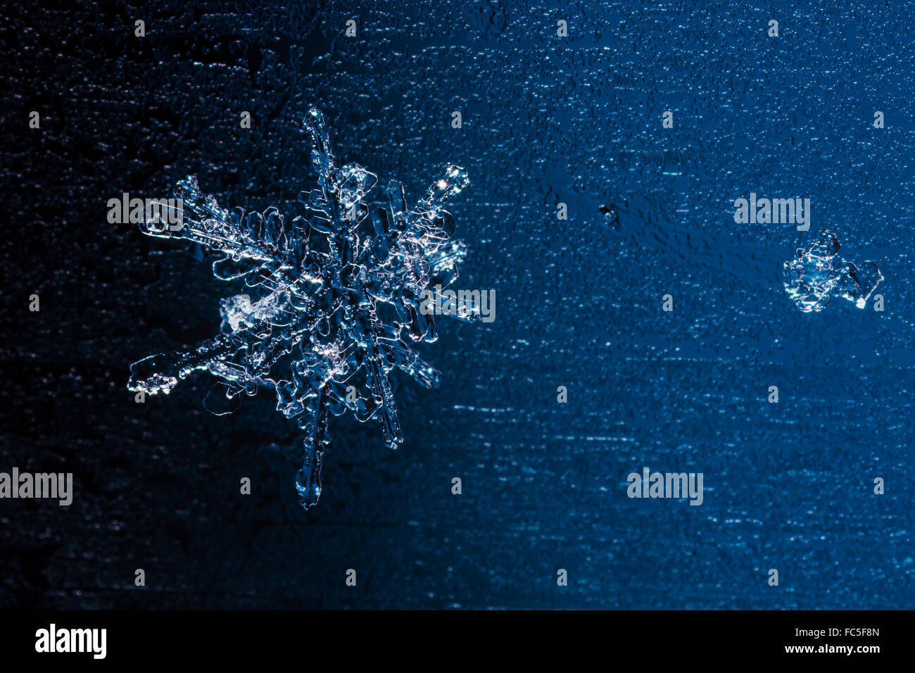 Melting snowflakes in a beam of light Stock Photo - Alamy