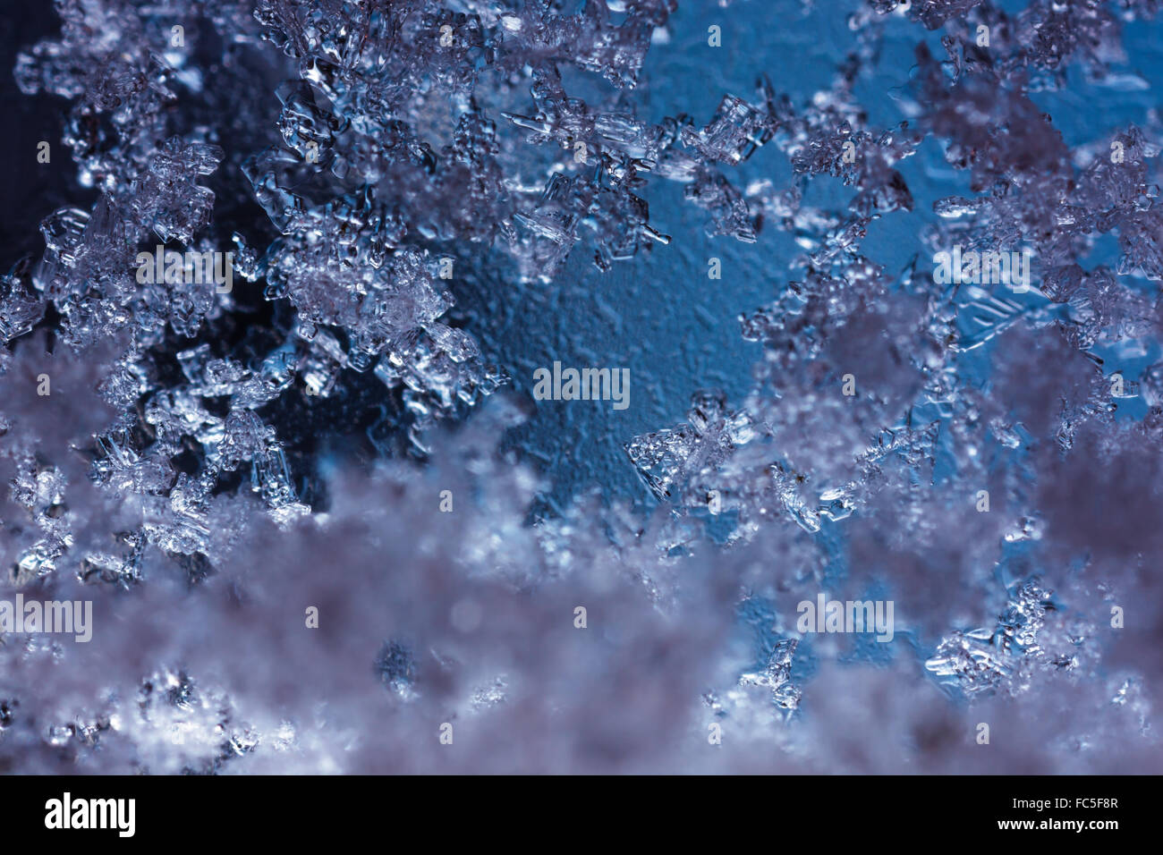Melting snowflakes in a beam of light Stock Photo - Alamy