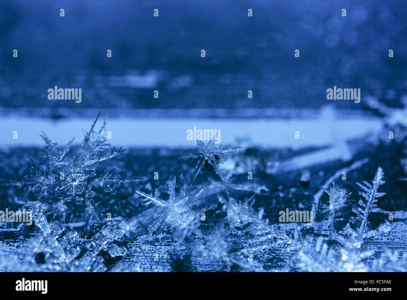 Melting snowflakes in a beam of light Stock Photo - Alamy