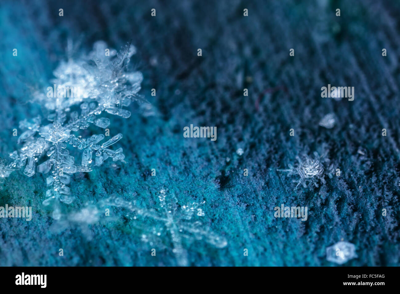 Melting snowflakes in a beam of light Stock Photo - Alamy