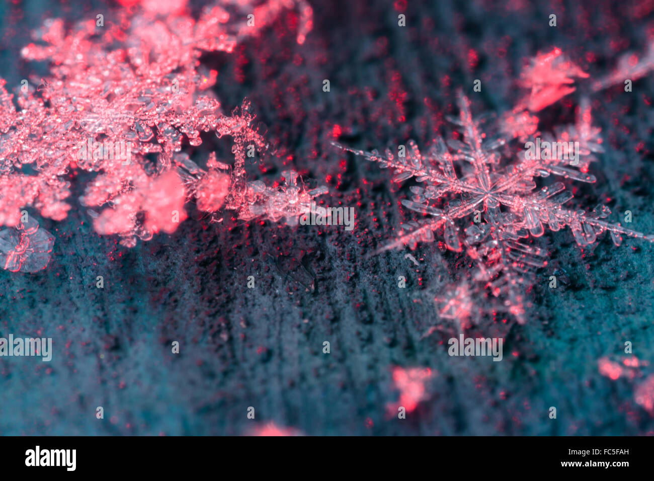 Melting snowflakes in a beam of light Stock Photo - Alamy