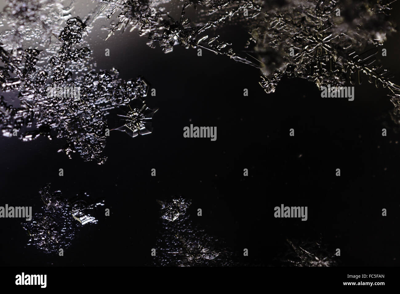 Melting snowflakes in a beam of light Stock Photo - Alamy