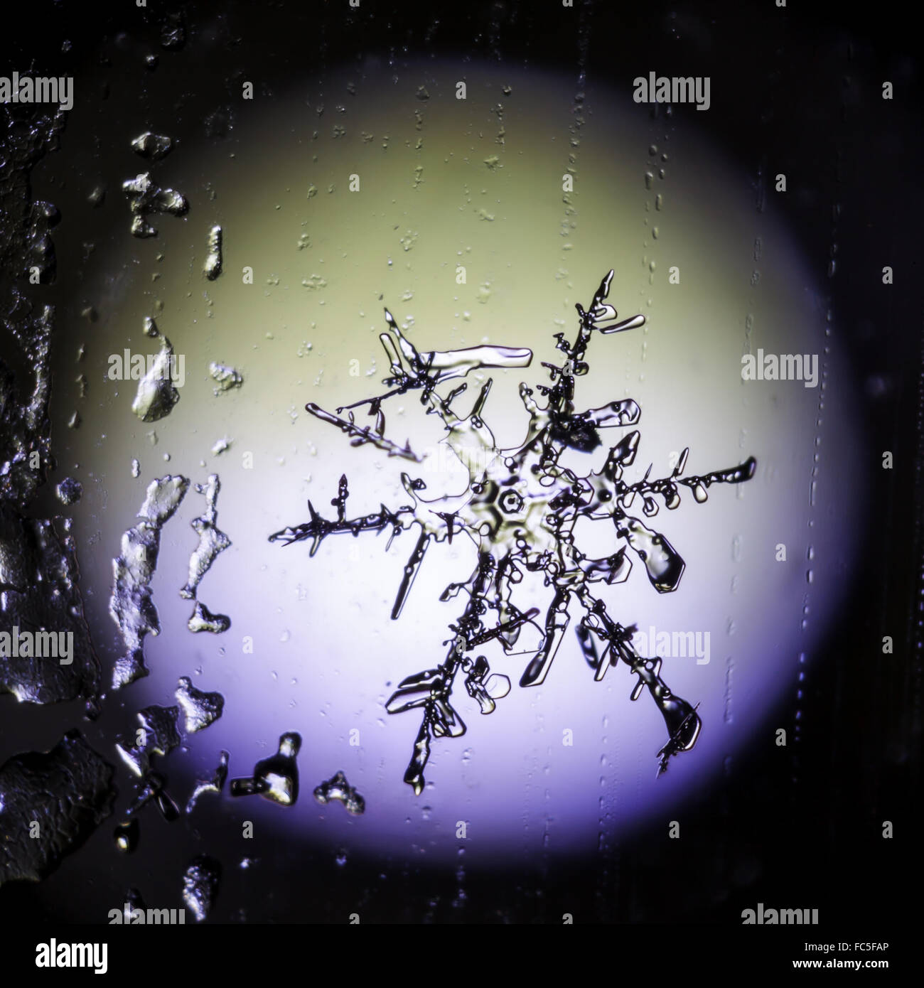 Melting snowflakes in a beam of light Stock Photo - Alamy