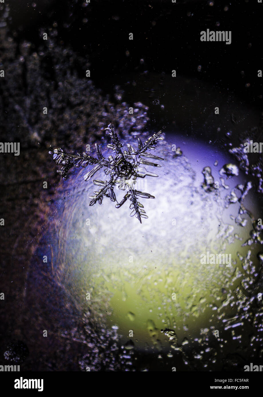 Melting snowflakes in a beam of light Stock Photo - Alamy