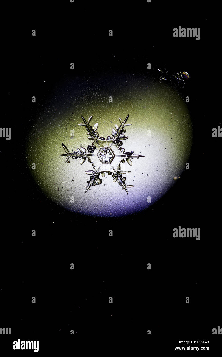 Melting snowflakes in a beam of light Stock Photo - Alamy